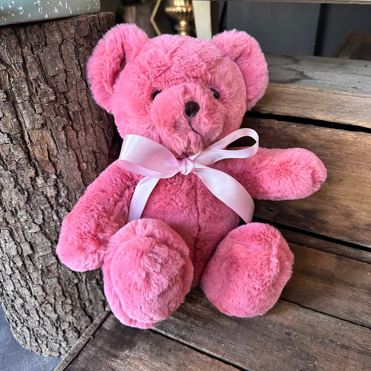 Raspberry Pink Teddy – Flair flowers & design